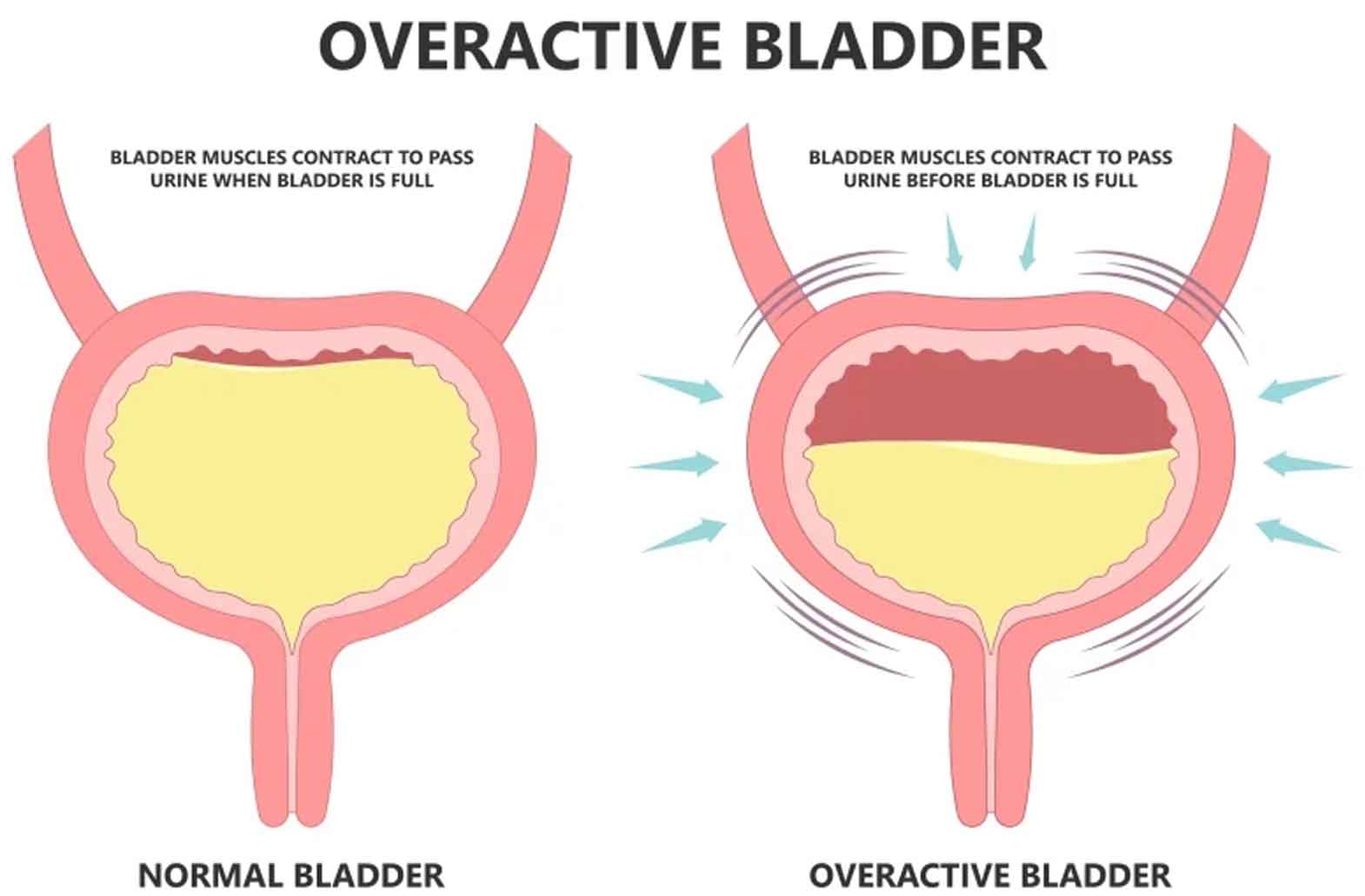 Dec 2024's New Tech Gadgets & Gifts - UnforgettableGadgets™