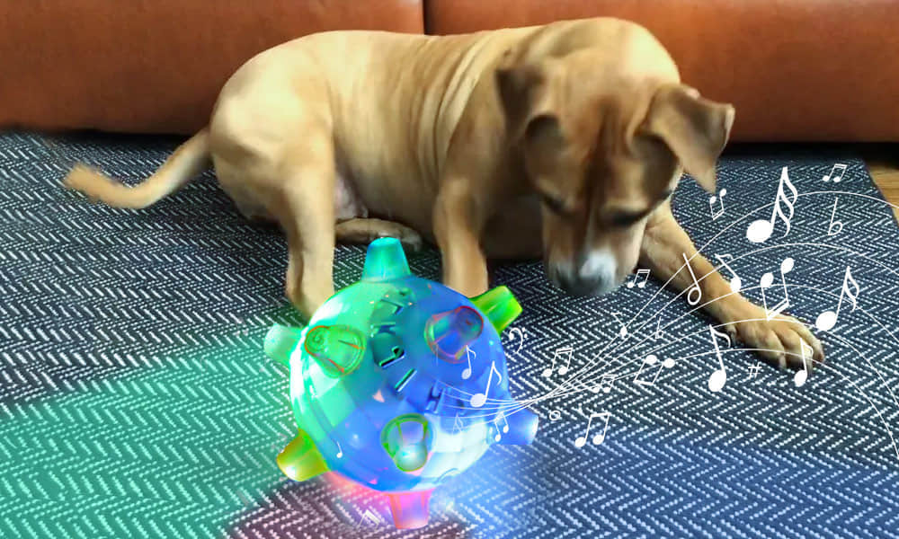 Jan 2024's New Tech Gadgets & Gifts - UnforgettableGadgets™